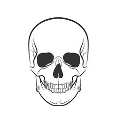 Smiling skulls Royalty Free Vector Image - VectorStock
