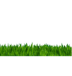 Super realistic grass Royalty Free Vector Image