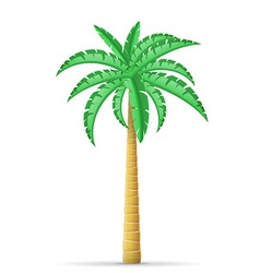 Brochure flyers template with palm tree Royalty Free Vector