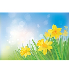 Spring flowers Royalty Free Vector Image - VectorStock