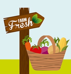 Fresh farm Royalty Free Vector Image - VectorStock