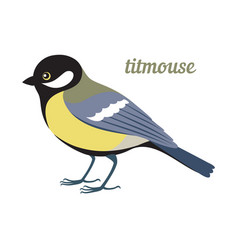 Titmouse Royalty Free Vector Image - VectorStock