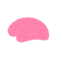 Cartoon pink of the human brain Royalty Free Vector Image