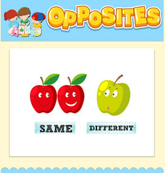 Opposite adjectives with same and different Vector Image