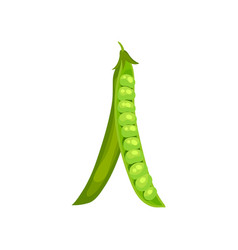 Green pea pod isolated on transparent background Vector Image