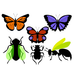 Insects Royalty Free Vector Image - VectorStock