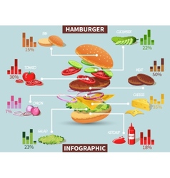 Burger infographics structure of hamburger Vector Image