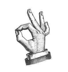 Hand showing okay Royalty Free Vector Image - VectorStock