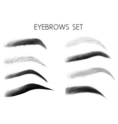 Set of female eyebrows in different shapes Vector Image