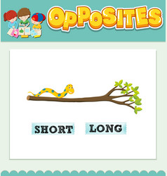 Opposite adjectives with short and long Royalty Free Vector