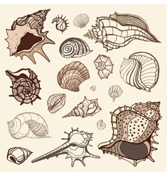 Hand drawing seashell set Royalty Free Vector Image