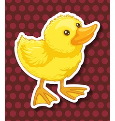 Ducks Royalty Free Vector Image - VectorStock