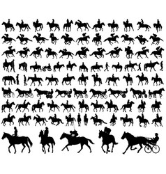 Sports Tails Royalty Free Vector Image - VectorStock