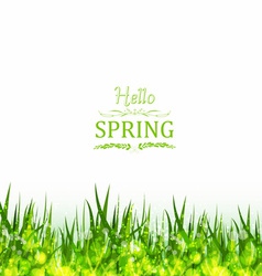 Spring grass seamless border floral Royalty Free Vector