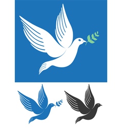 Peace dove vector by Tribaliumvs - Image #1023337 - VectorStock