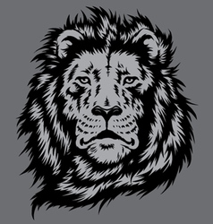 White lion head vector by VectoryOne - Image #2252304 - VectorStock