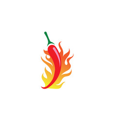 Chilli template logo and symbol Royalty Free Vector Image