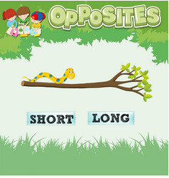 Opposite adjectives with short and long Royalty Free Vector