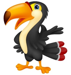 Toucan cartoon Royalty Free Vector Image - VectorStock
