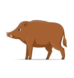 Cute wild boar in flat style Royalty Free Vector Image