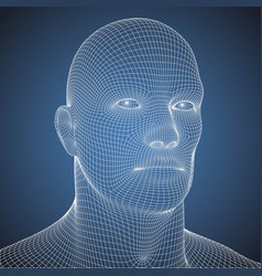 3d wireframe human body Royalty Free Vector Image