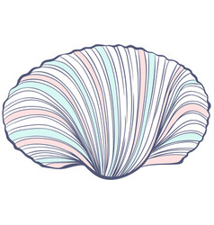Beautiful shell isolated on white Royalty Free Vector Image