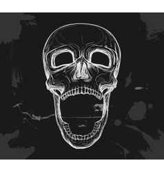 Screaming skull Royalty Free Vector Image - VectorStock