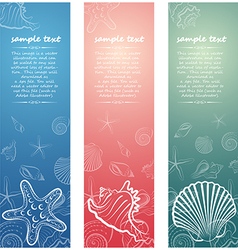 Seashell header vector by olia_nikolina - Image #567448 - VectorStock