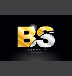 Alphabet letter combination bs b s with grunge Vector Image