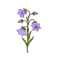 Realistic bells beautiful flower Royalty Free Vector Image