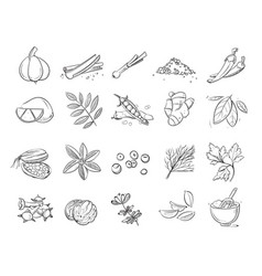 Meal and ware doodle set Royalty Free Vector Image
