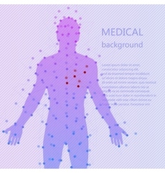 Human organs system medical body anatomy man Vector Image