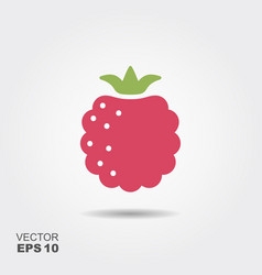Raspberry Royalty Free Vector Image - VectorStock