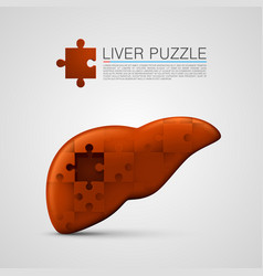 Cartoon of Human Liver Anatomy Royalty Free Vector Image