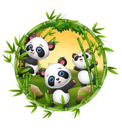 Panda action playing together under the bamboo Vector Image