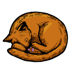Cat wall sticker Royalty Free Vector Image - VectorStock
