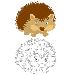 Hedgehog Royalty Free Vector Image - VectorStock