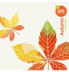 Colorful autumn tree leaves set isolated on white Vector Image
