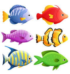 Fish cartoon set Royalty Free Vector Image - VectorStock