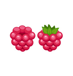 Raspberry fruit cartoon Royalty Free Vector Image