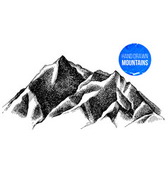 Ice peak mountain green meadow at foothills Vector Image