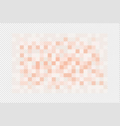 Censor blur effect on transparent background gray Vector Image