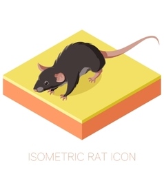 Little rat on white background Royalty Free Vector Image