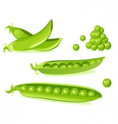 Green peas in a pod Royalty Free Vector Image - VectorStock