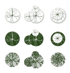 Trees top view for landscape design Royalty Free Vector Image - VectorStock
