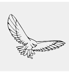 Stencil hawk Royalty Free Vector Image - VectorStock