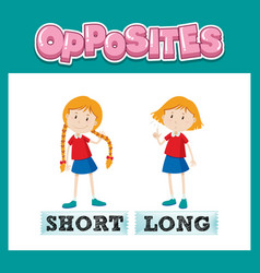 Opposite adjectives long and short Royalty Free Vector Image