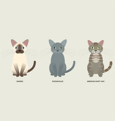 Set black cats looking out corner Royalty Free Vector Image