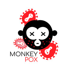Monkeypox virus infographics of transmission Vector Image