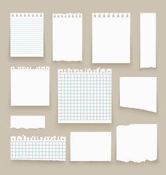 Notebook papers with torn ripped edge set Vector Image